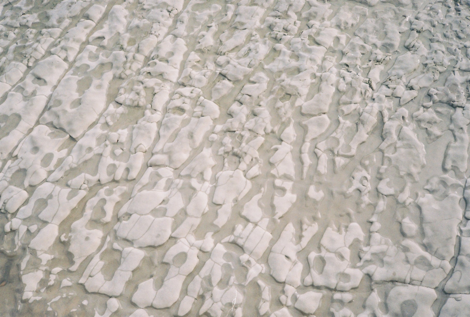 Emerging Ceramic Artist | bone dry ceramics